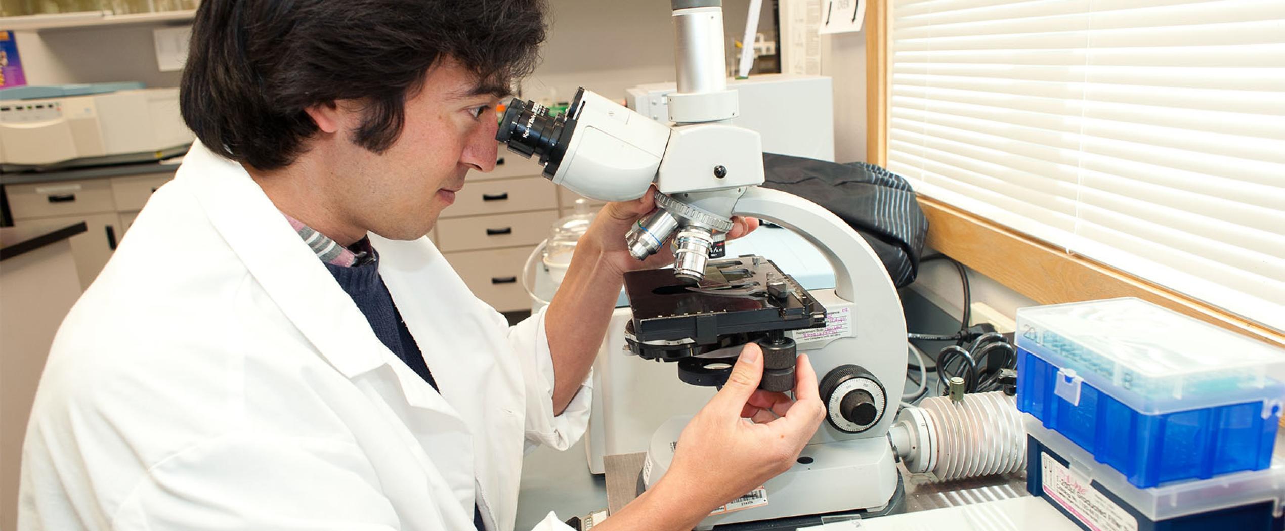 Fish Pathogens | Aquatic Animal Health Lab (AAHL)